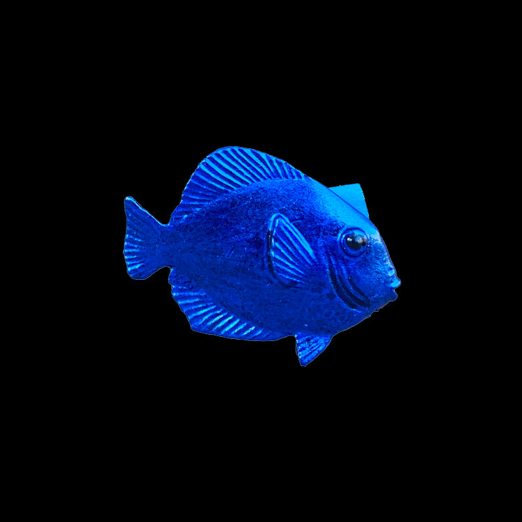 Cool Ranch – Fallout Hobbies