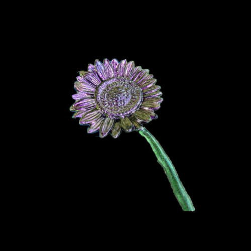 Shell Shocked – Fallout Hobbies